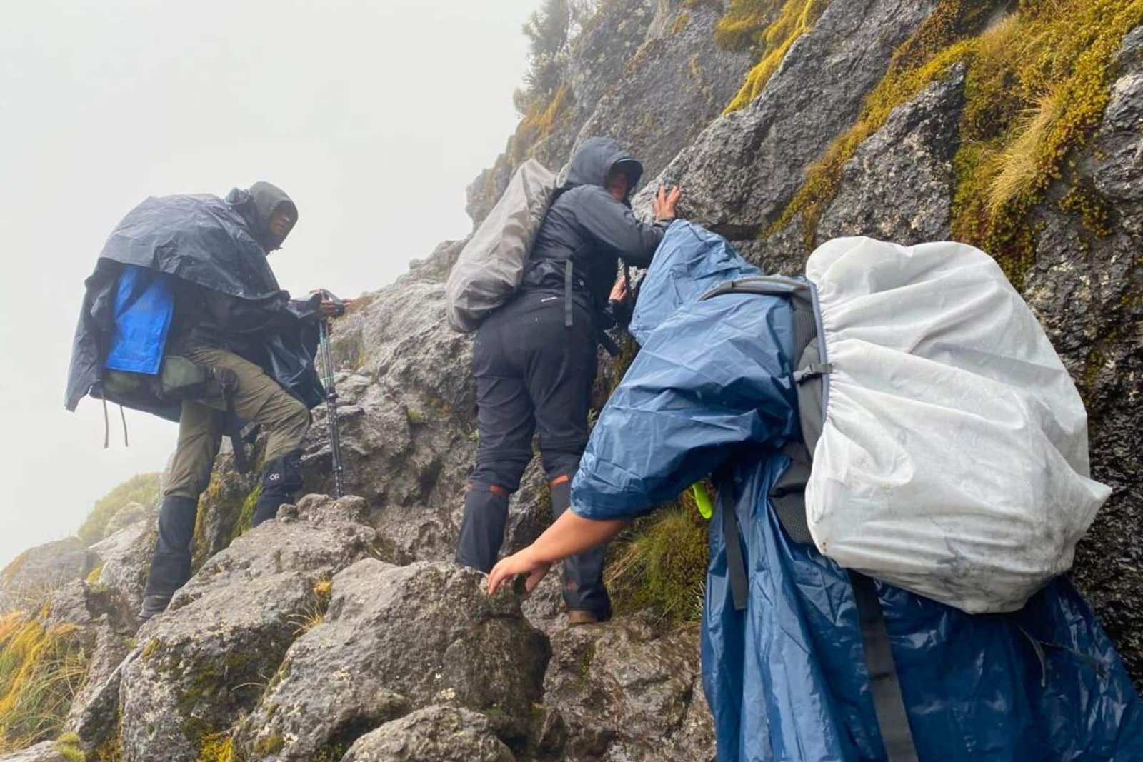 Mount Kilimanjaro Weather: What To Expect At Every Altitude